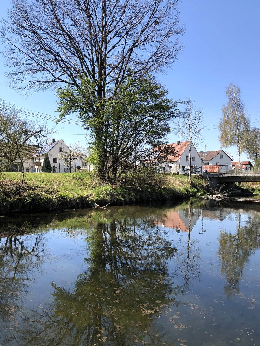 Nadia's Easter bread