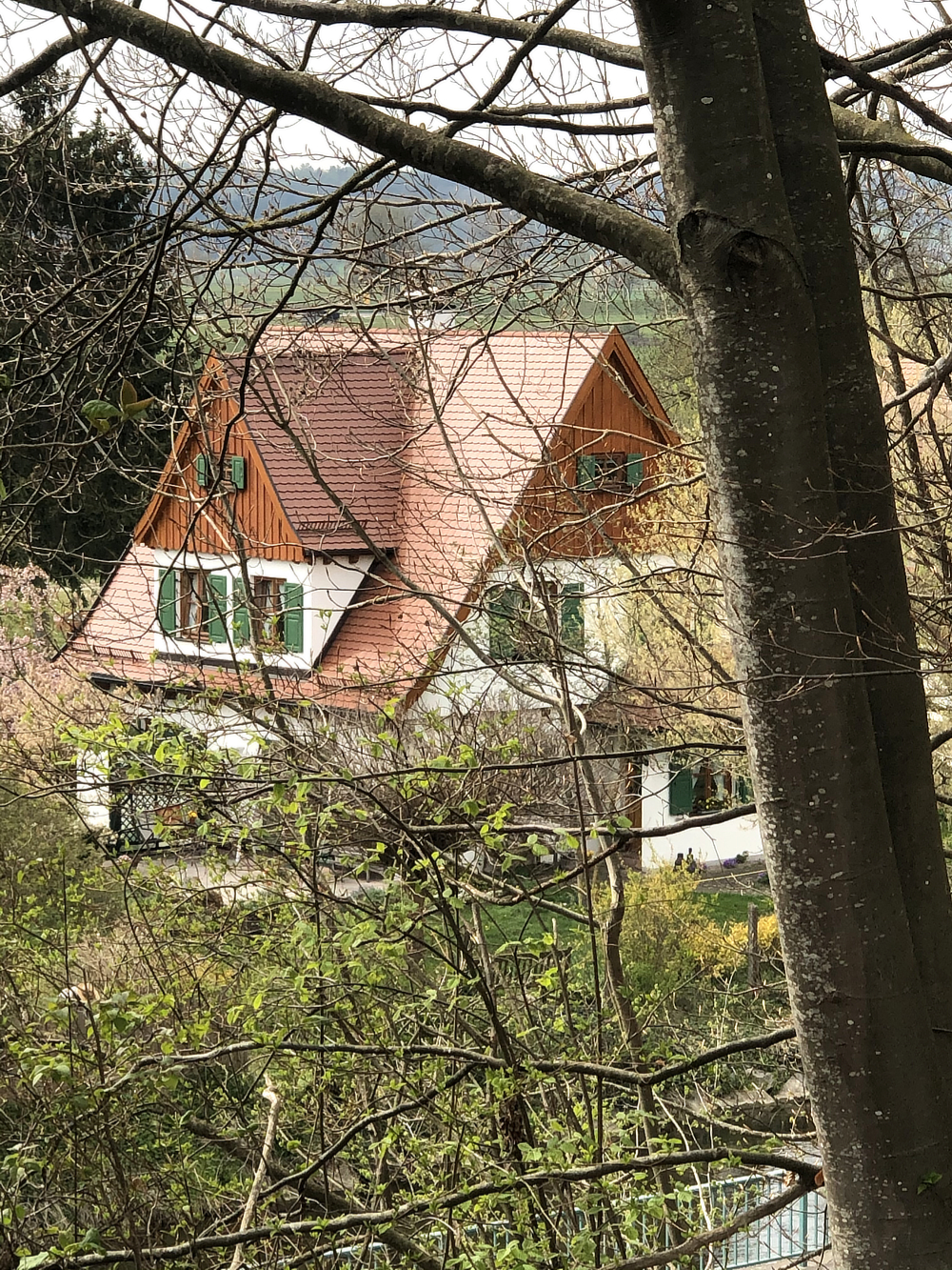 Nadia's Easter bread
